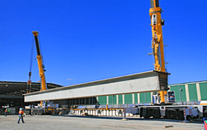 TeeRoff Bridge Beams